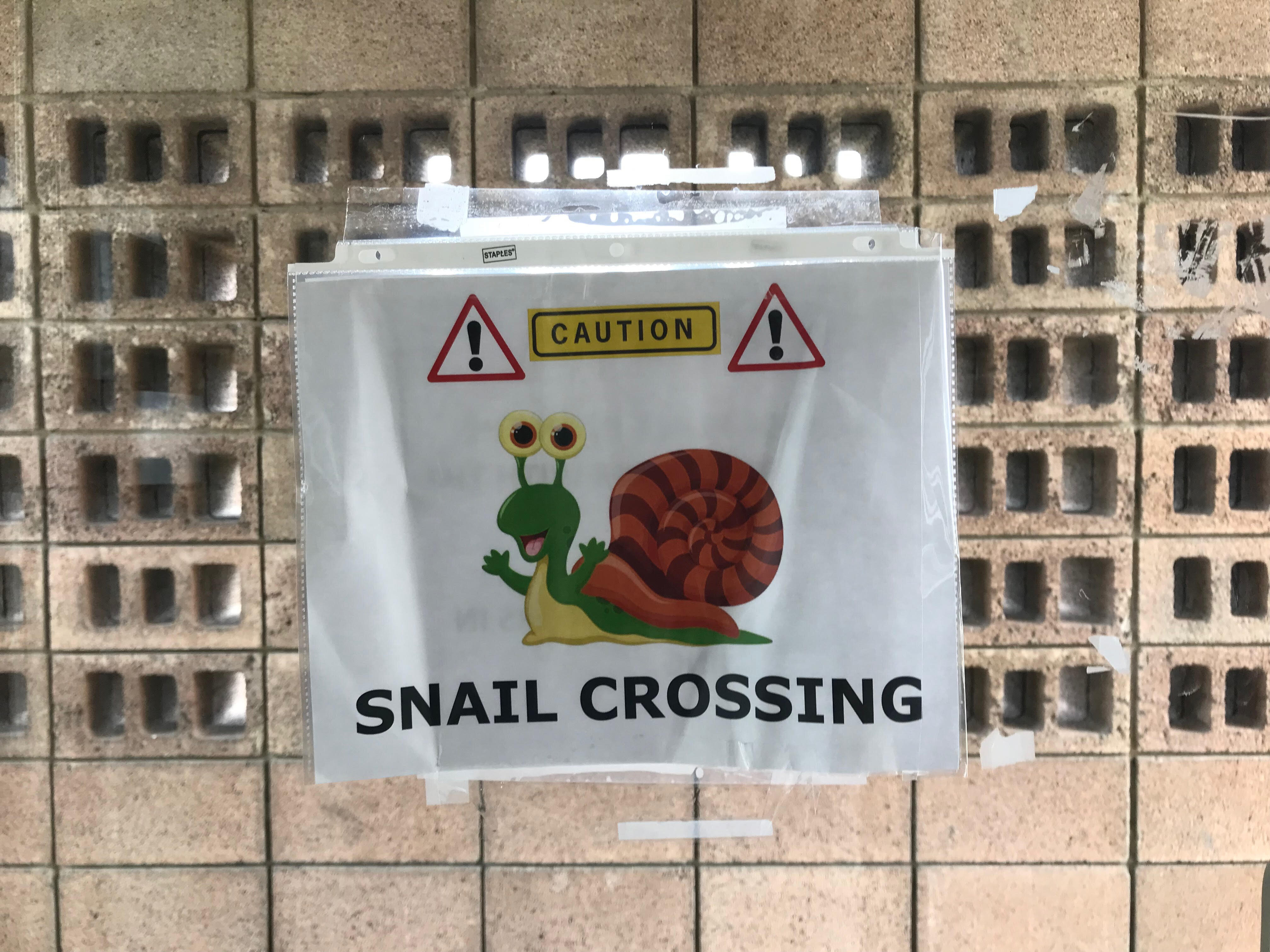 Woman Creates 'Snail Crossing' Sign To Keep Snails Safe - The Dodo