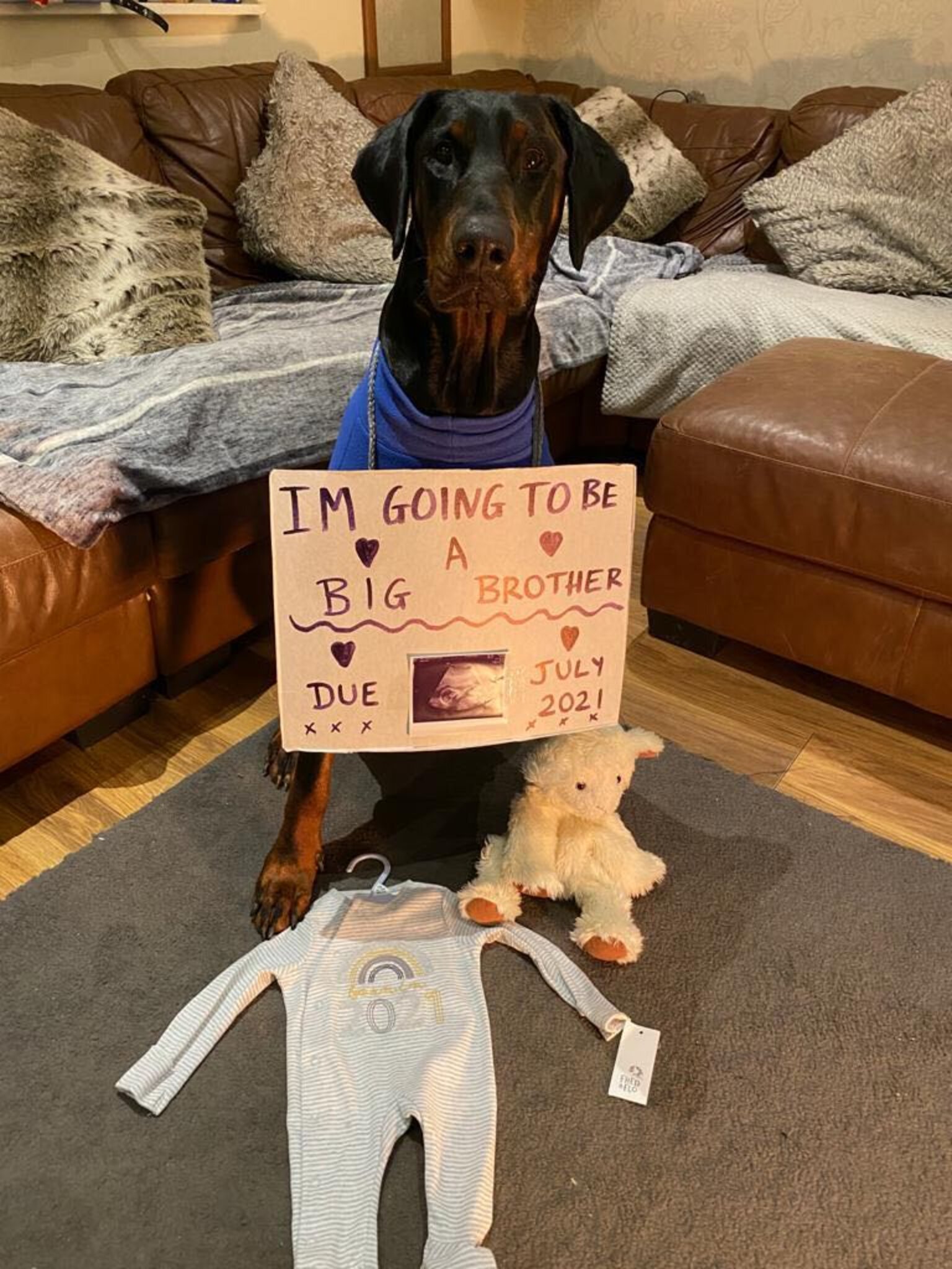 Camera Shows Dog Comforting Crying Baby Sister With His Favorite Toy ...