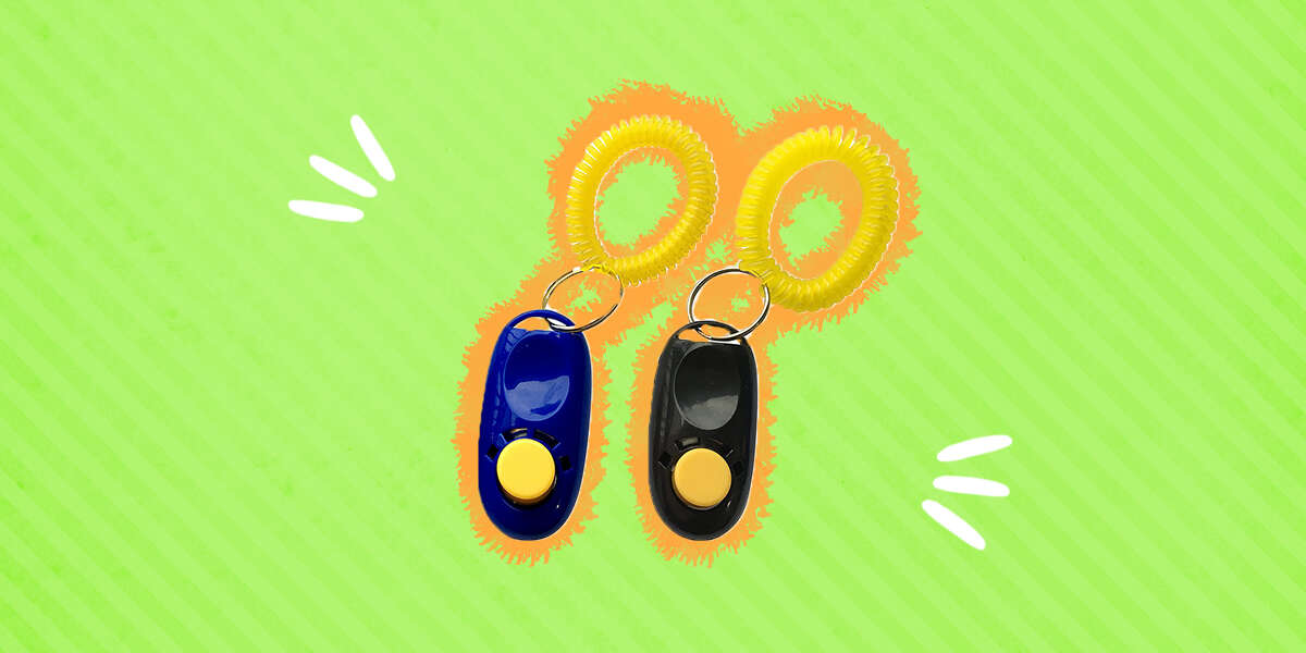 10 Dog Training Tools The Pros Love - DodoWell - The Dodo