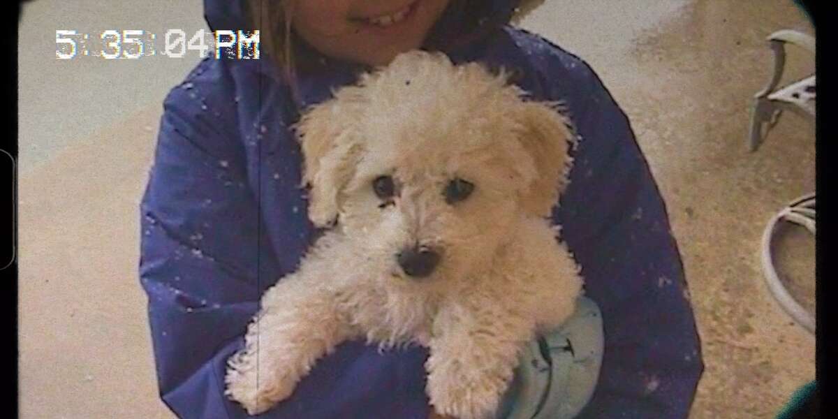 The Perfect Comfort Song For Anyone Who's Lost A Pet - Videos - The Dodo