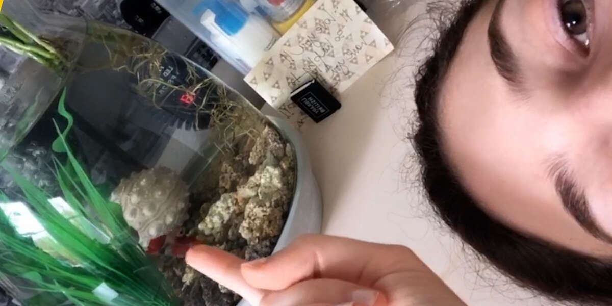 Girl Realizes Her Fish Is Really, Really Smart - Videos - The Dodo