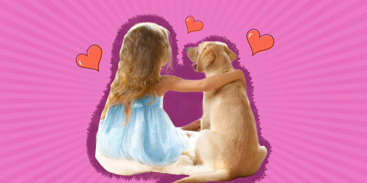 How To Take Care Of A Dog For Kids - DodoWell - The Dodo
