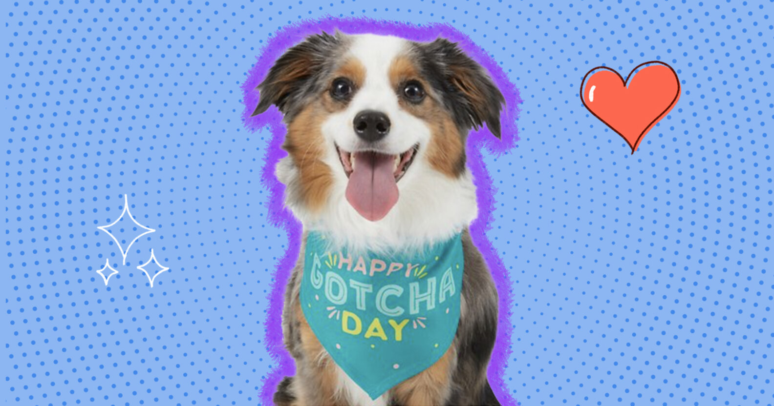 How To Celebrate Gotcha Day For Your Dog - DodoWell - The Dodo