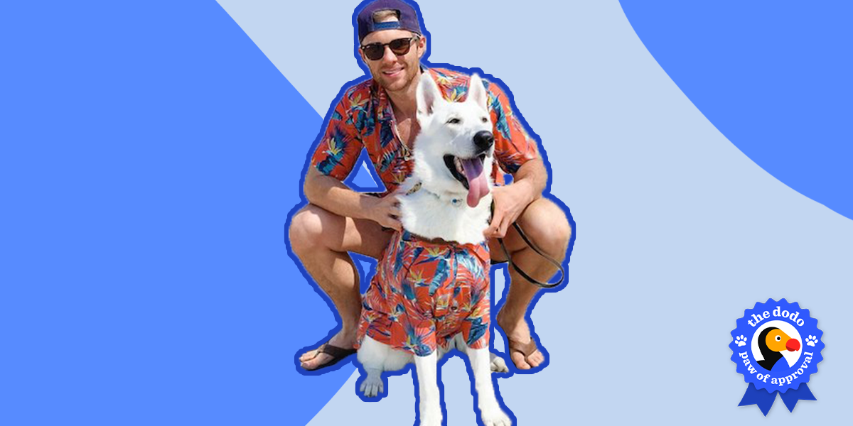 Dog Threads Reviews: Are They Cute? - Paw of Approval - The Dodo