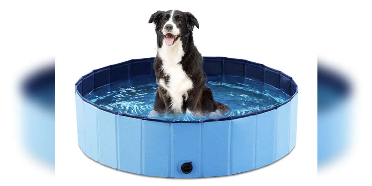 6 Dog Pools On Amazon For The Dog Days Of Summer - DodoWell - The Dodo