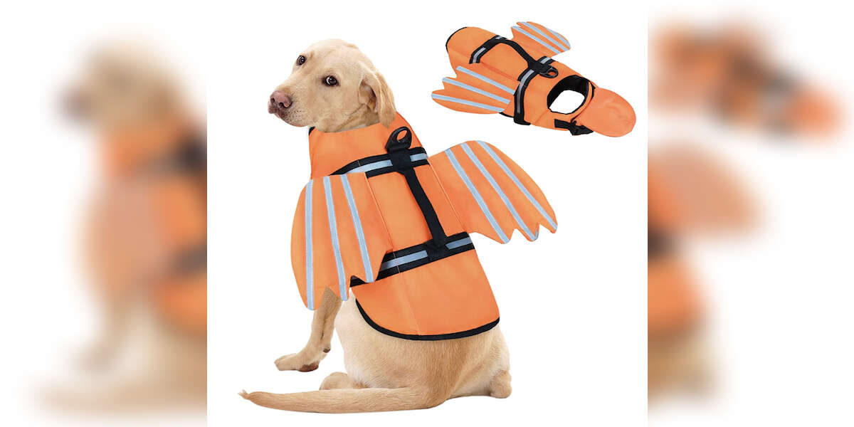 10 Best Dog Life Jackets On Amazon - DodoWell - The Dodo