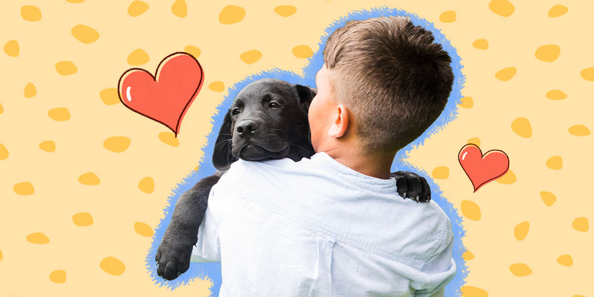 10 Awesome Gifts For Kids Who Love Dogs - DodoWell - The Dodo