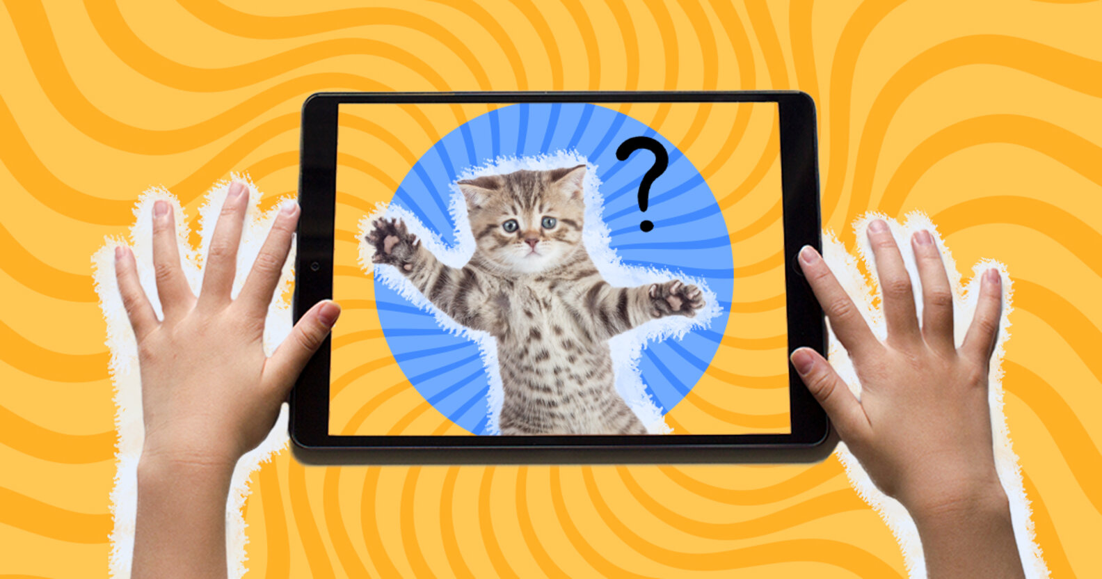 10 Awesome Cat Videos For Kids - DodoWell - The Dodo