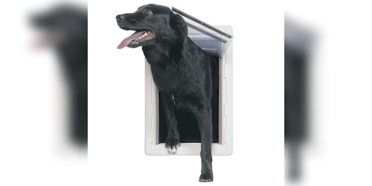 6 Best Dog Doors You Can Buy On Amazon - DodoWell - The Dodo