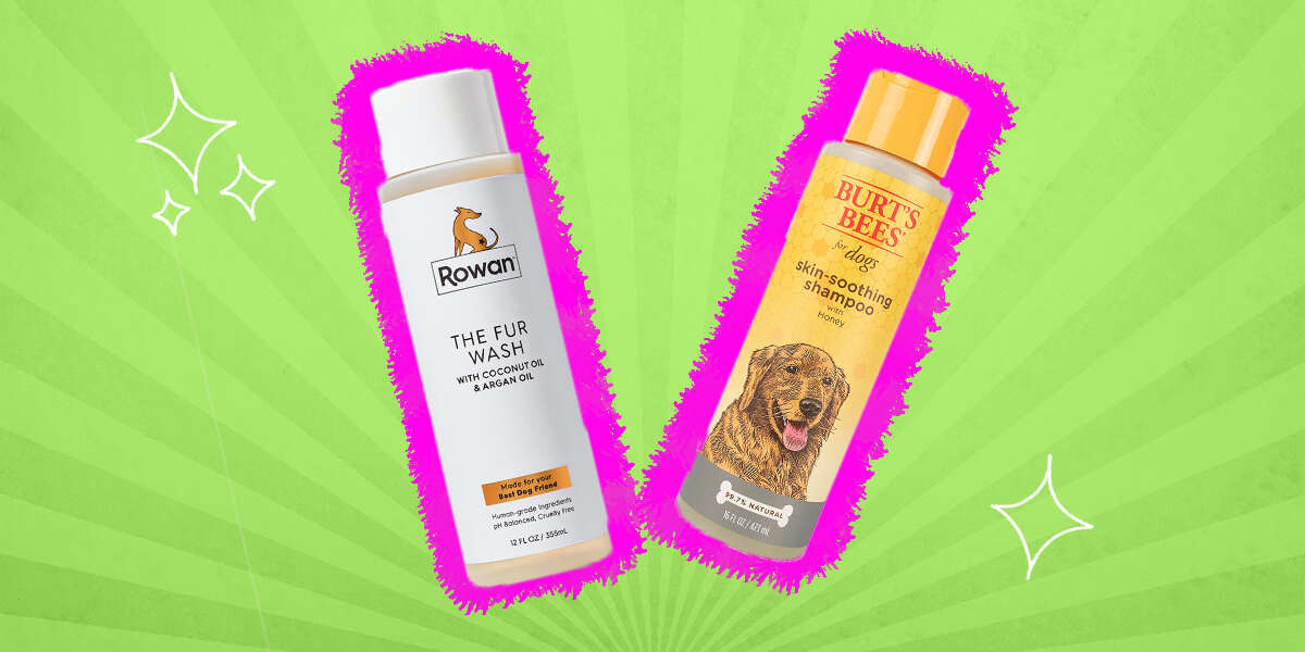 5 Soothing Dog Shampoos For Sensitive Skin - DodoWell - The Dodo