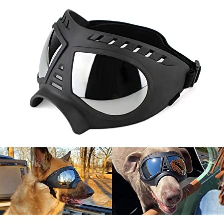 6 Best Amazon Dog Goggles - DodoWell - The Dodo