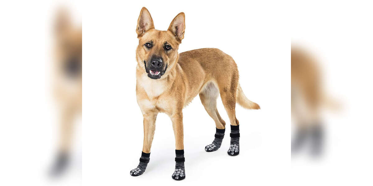 7 Best Anti-Slip Dog Socks On Amazon - DodoWell - The Dodo