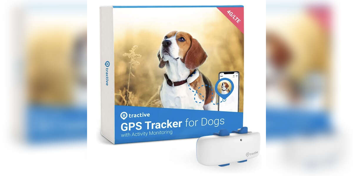 7 Best GPS Dog Collars On Amazon - DodoWell - The Dodo