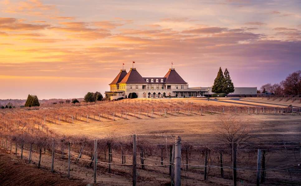 Vineyards and Wineries in Northern Georgia Worth Visiting - Thrillist