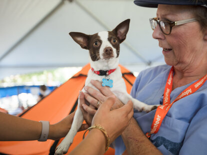 This California Pet Adoption Event Wants To Help 3,500 Animals - The Dodo