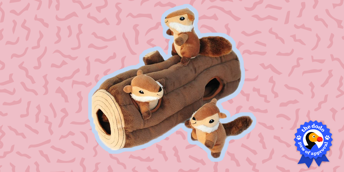 ZippyPaws Burrow Toys: Burrow Log Review - Paw of Approval - The Dodo