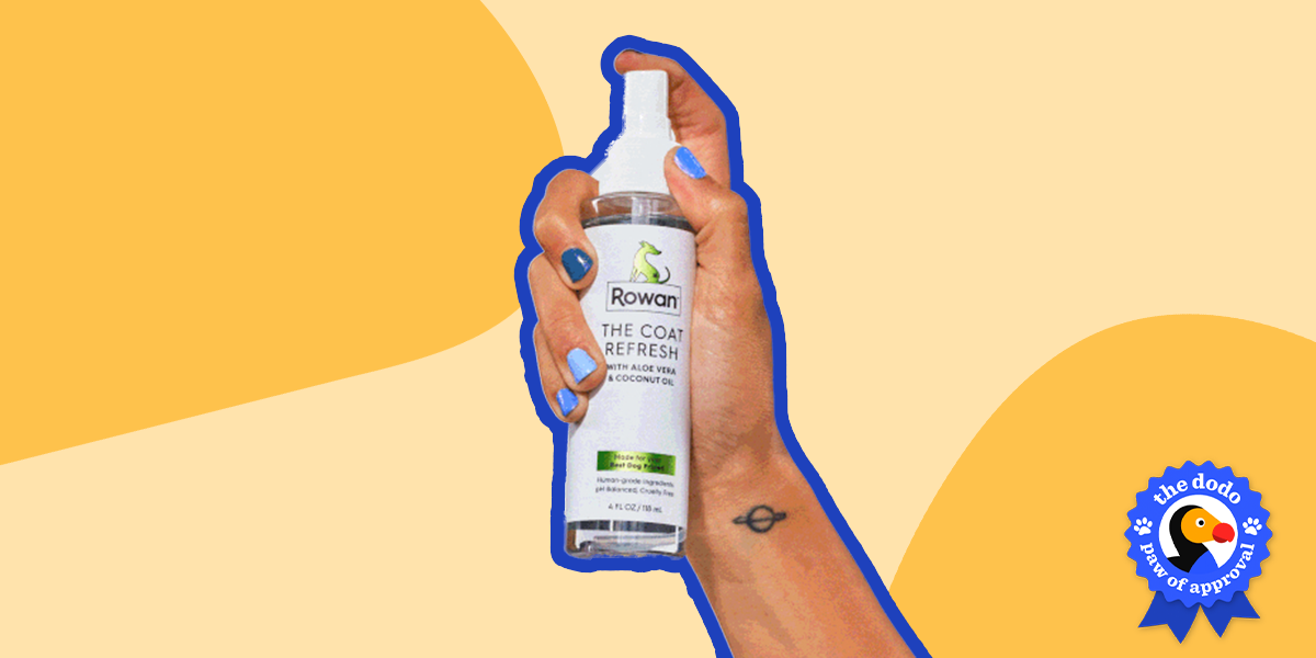 Rowan Coat Refresh Conditioner Spray Review - Paw of Approval - The Dodo