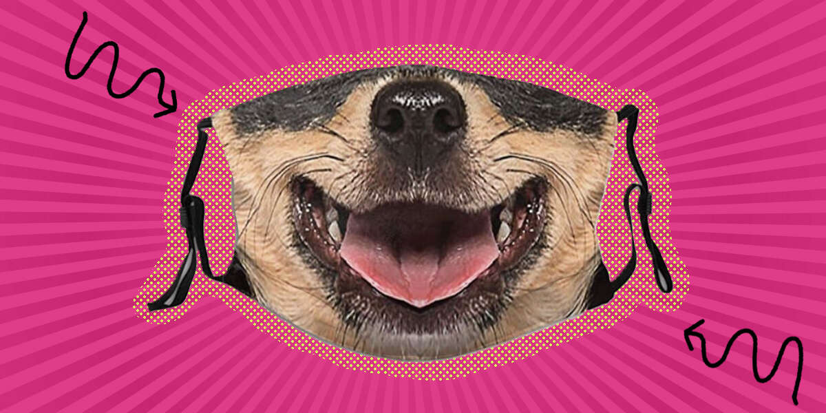 10 Cute Dog Face Masks For Dog Lovers - DodoWell - The Dodo