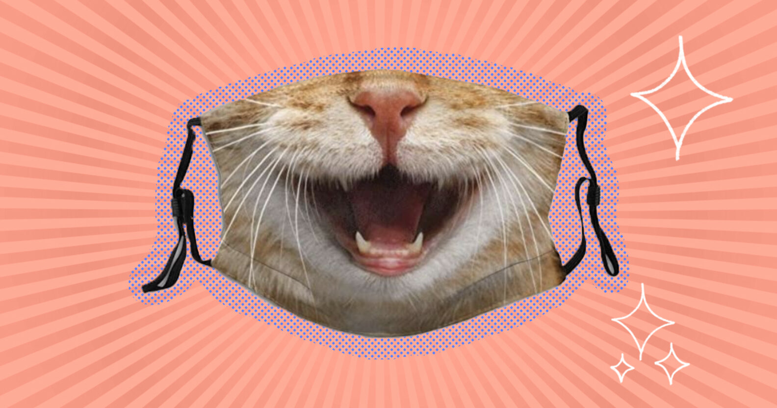 10 Cute Cat Face Masks For Cat Lovers - DodoWell - The Dodo