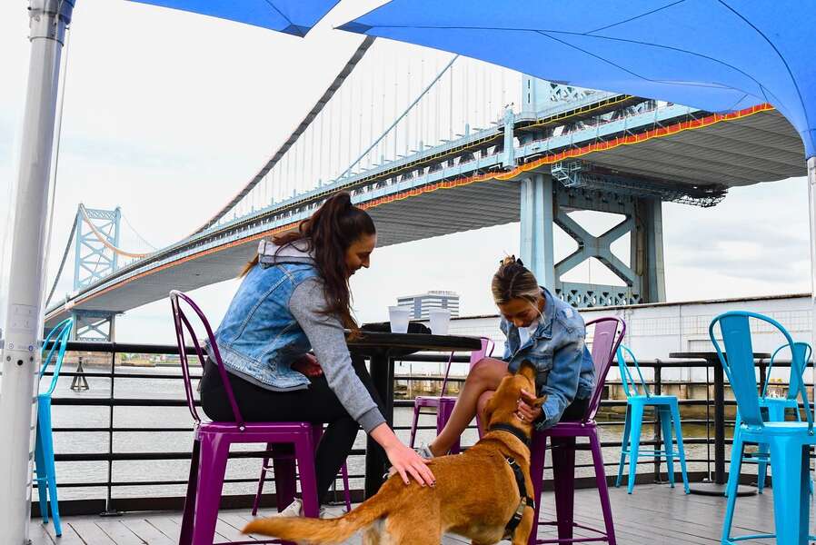 Dog-Friendly Bars & Restaurants in Philadelphia: 9 Places to Check Out ...