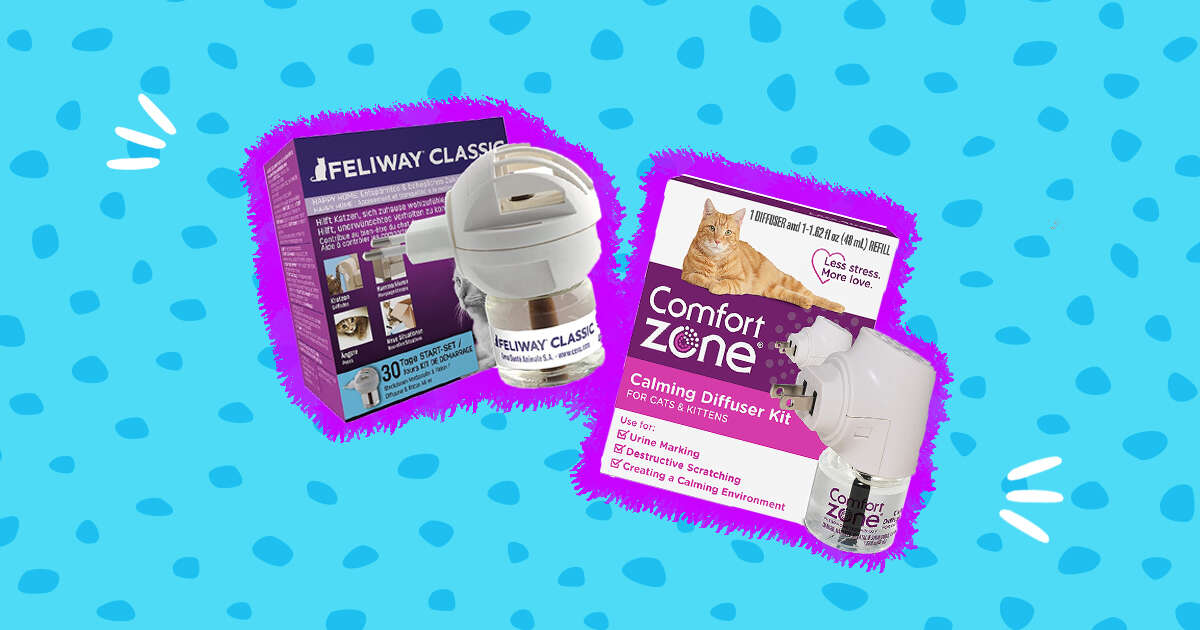 Cat Diffuser Calming Wangxldd Cat Pheromones Calming Diffuser Refill 1 ...