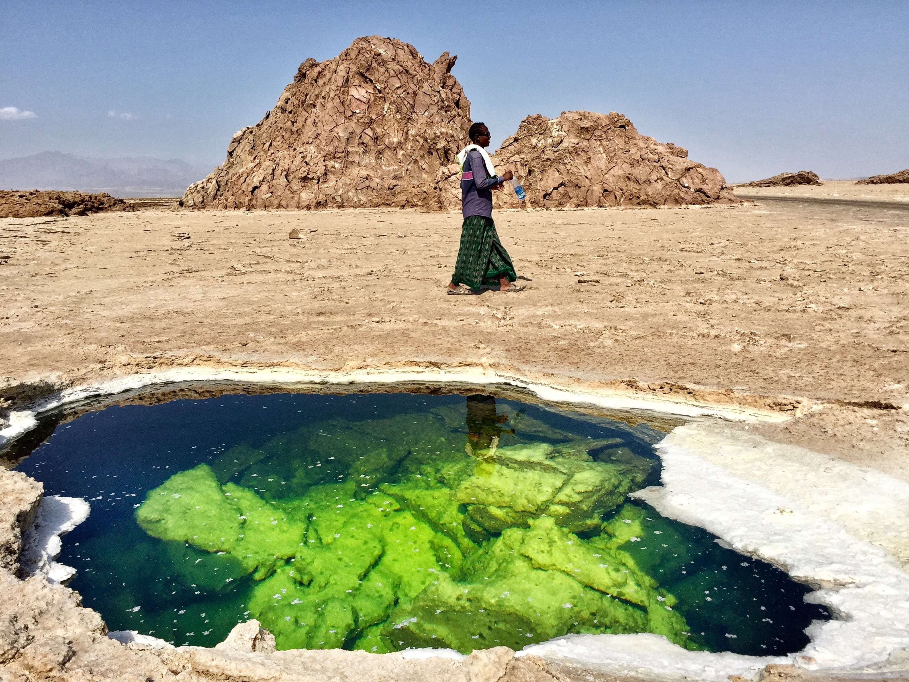 Afar assimilation | Somali Spot | Forum, News, Videos