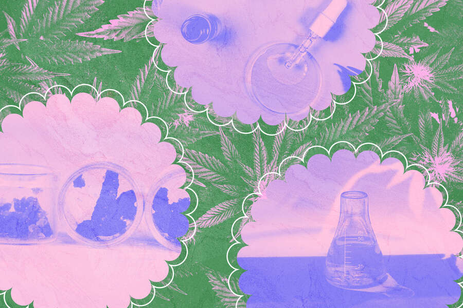 Cannabis Concentrates: A Complete Guide to all the Different Types ...