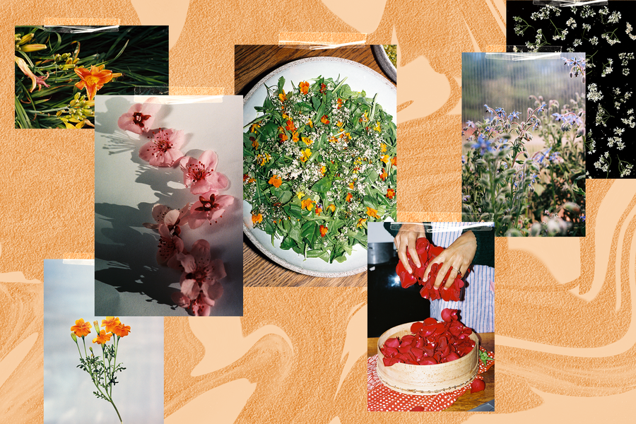 Guide to Using Edible Flowers in Cooking & Drinks - Thrillist