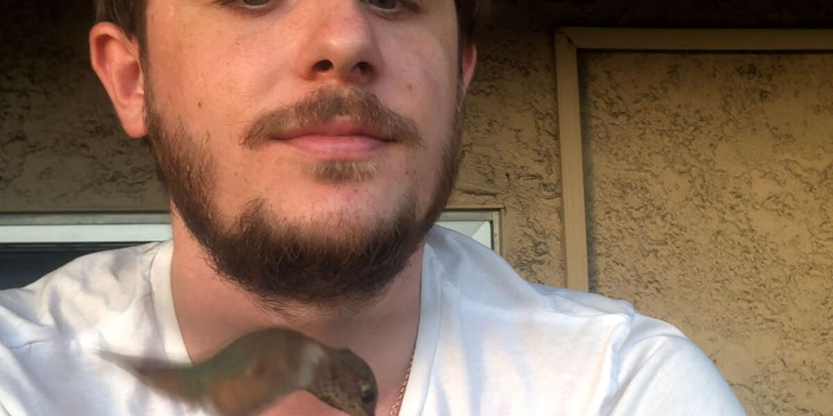 Guy Gets Hummingbirds To Land On His Nose - Videos - The Dodo