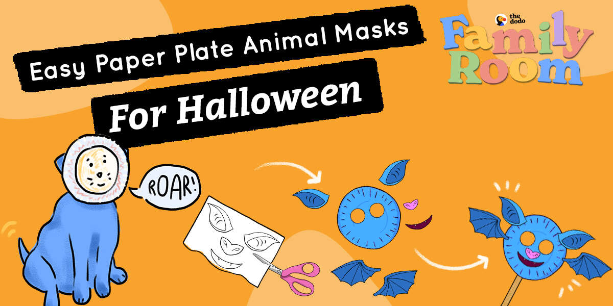 Easy DIY Paper Plate Animal Masks For The Whole Family - The Dodo