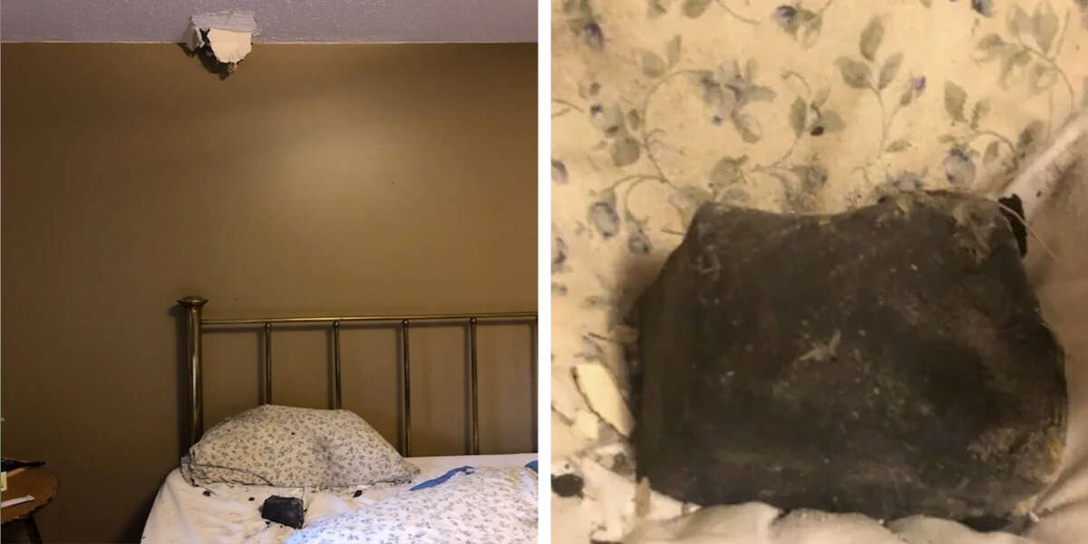 Dog Wakes Owner Moments Before A Meteor Crashes Into Her Bed - The Dodo