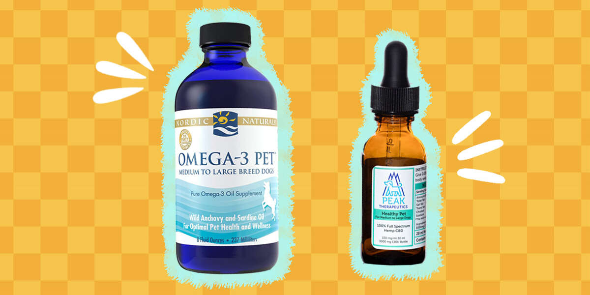 5 Best Joint Supplements For Dogs - DodoWell - The Dodo