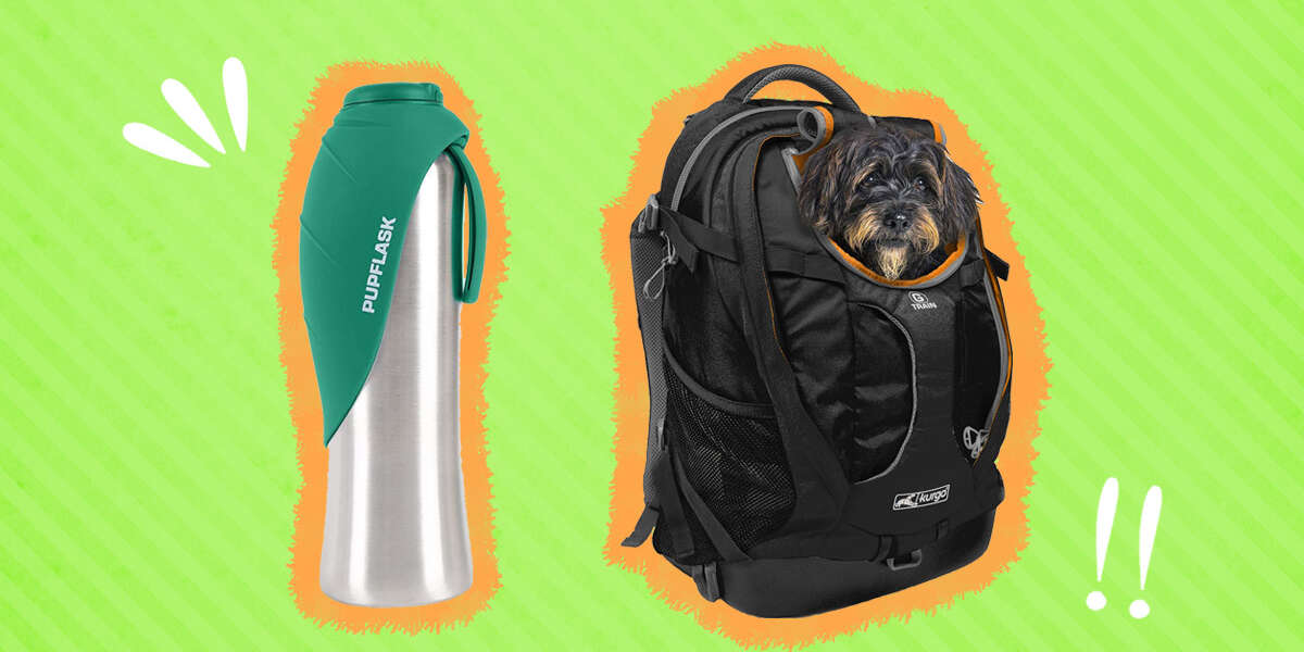 11 Dog Travel Accessories For Car Travel, Road Trips, Flying & Camping ...