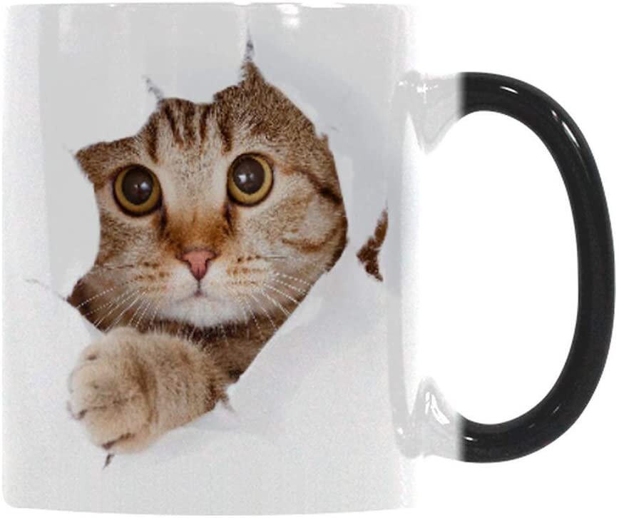 11 Best Cat Mugs On Amazon - DodoWell - The Dodo
