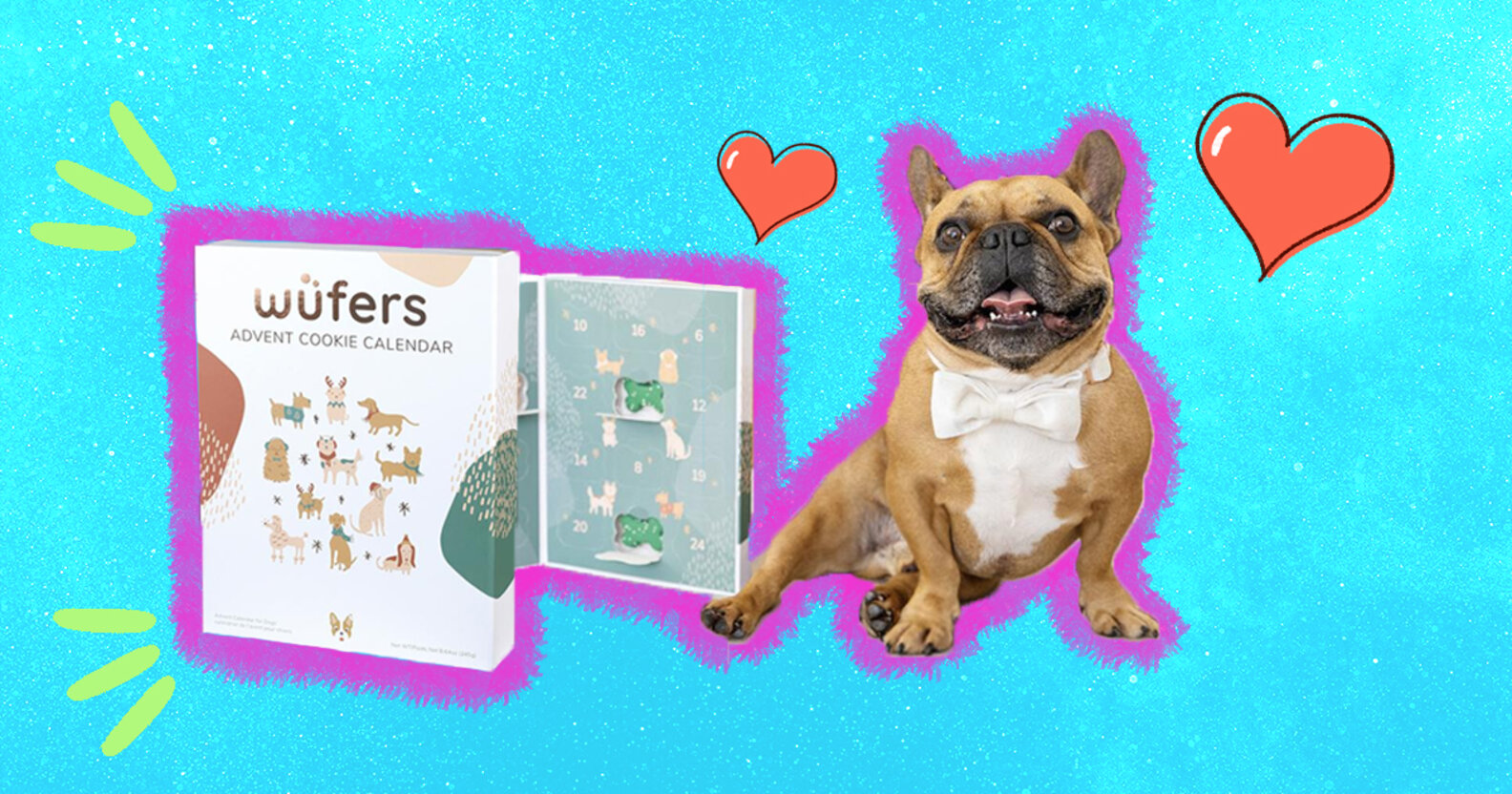 Dog Advent Calendar: 11 Options To Help Get Your Dog Excited About The ...