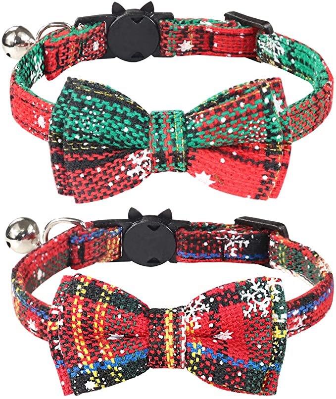 The Best Stocking Stuffers For Your Cat - DodoWell - The Dodo