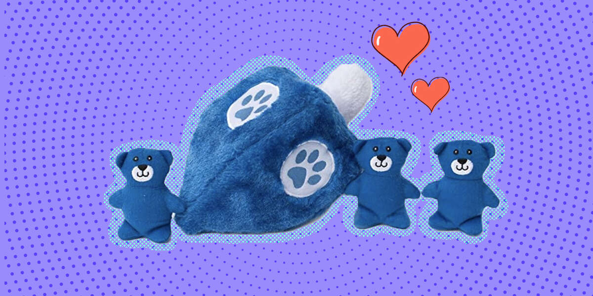 Hanukkah Dog Toys: 16 Gifts Your Dog Will Love During The Festival Of ...
