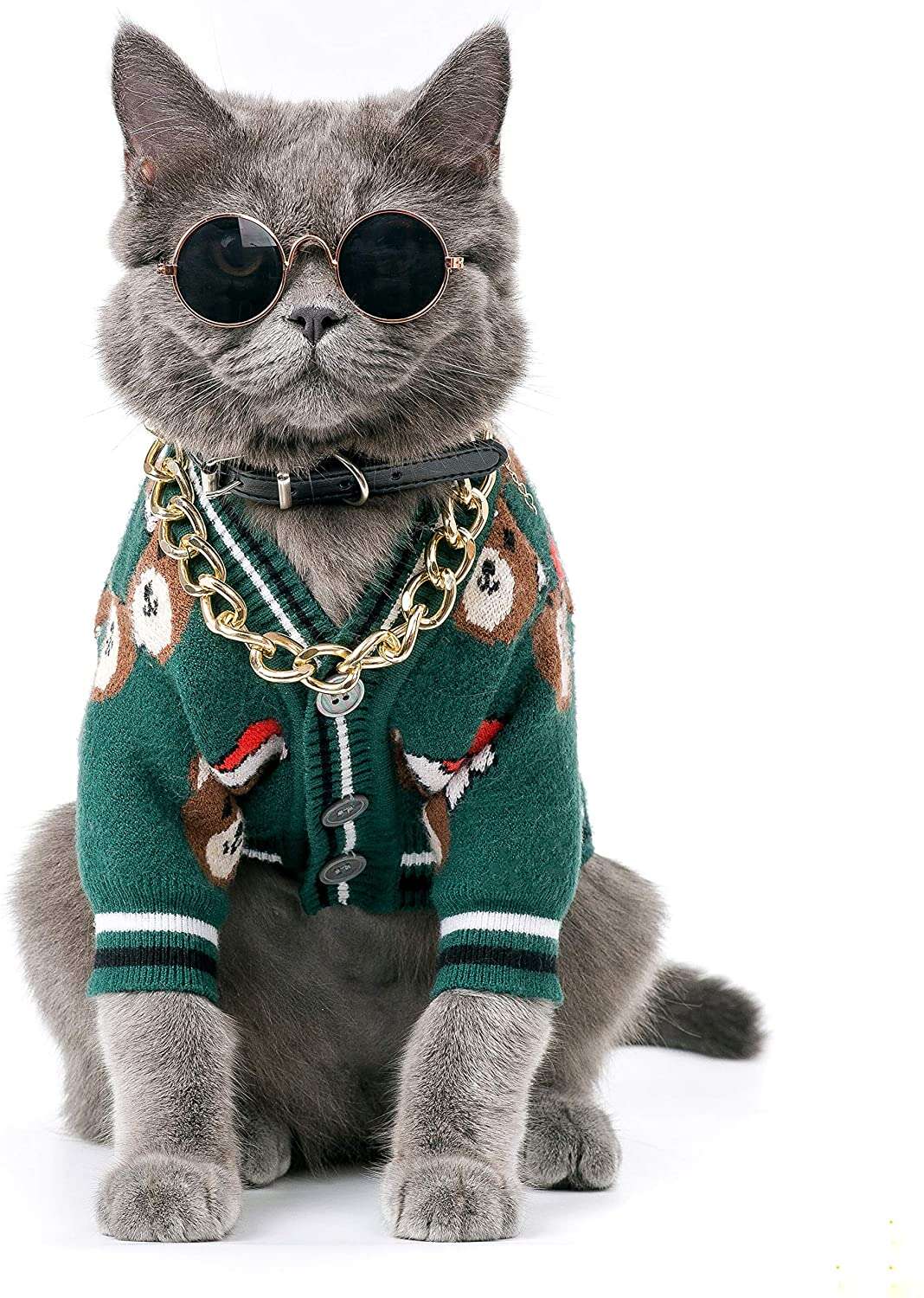 7 Festive Cat Christmas Sweaters - DodoWell - The Dodo