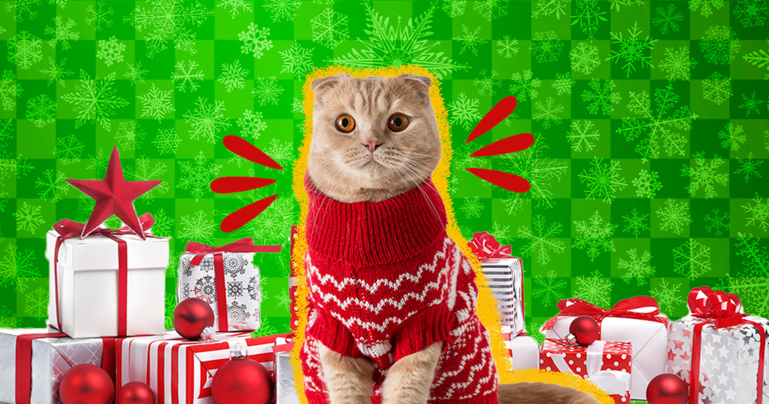 15 Cat Christmas Gifts That Should Be Under Your Tree - DodoWell - The Dodo