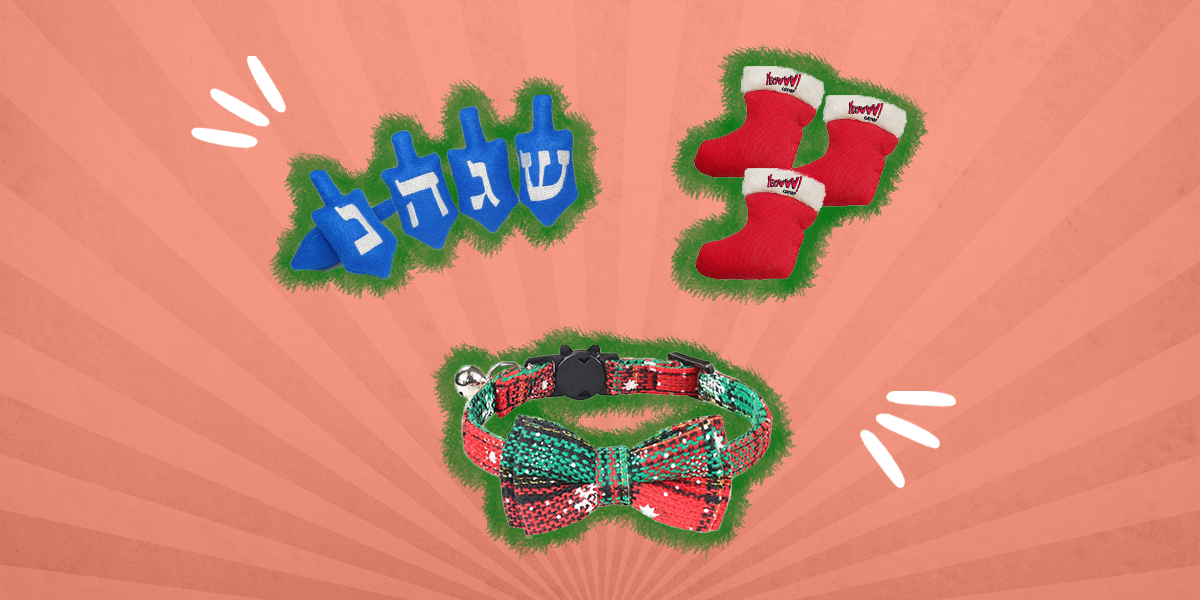 The Best Stocking Stuffers For Your Cat - DodoWell - The Dodo