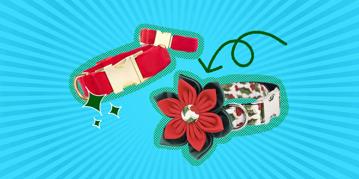 Christmas Dog Collar: 14 Of The Most Festive Collars To Celebrate The ...
