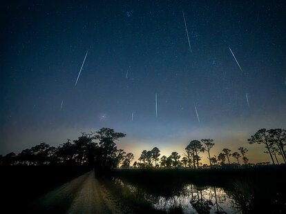 November 2021 Meteor Showers: How to See Shooting Stars Tonight - Thrillist