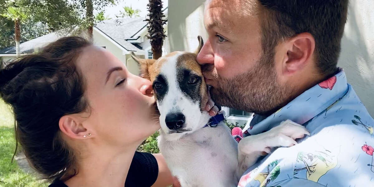 Couple Travels Thousands Of Miles To Adopt This Puppy - Videos - The Dodo