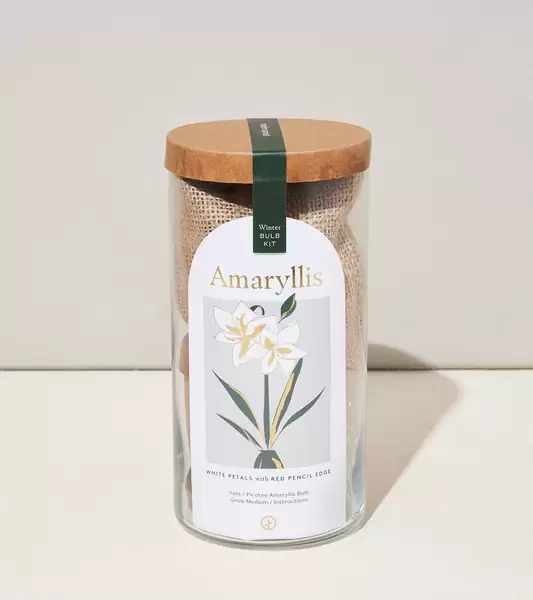 Gifts For Plant Parents | POPSUGAR Home