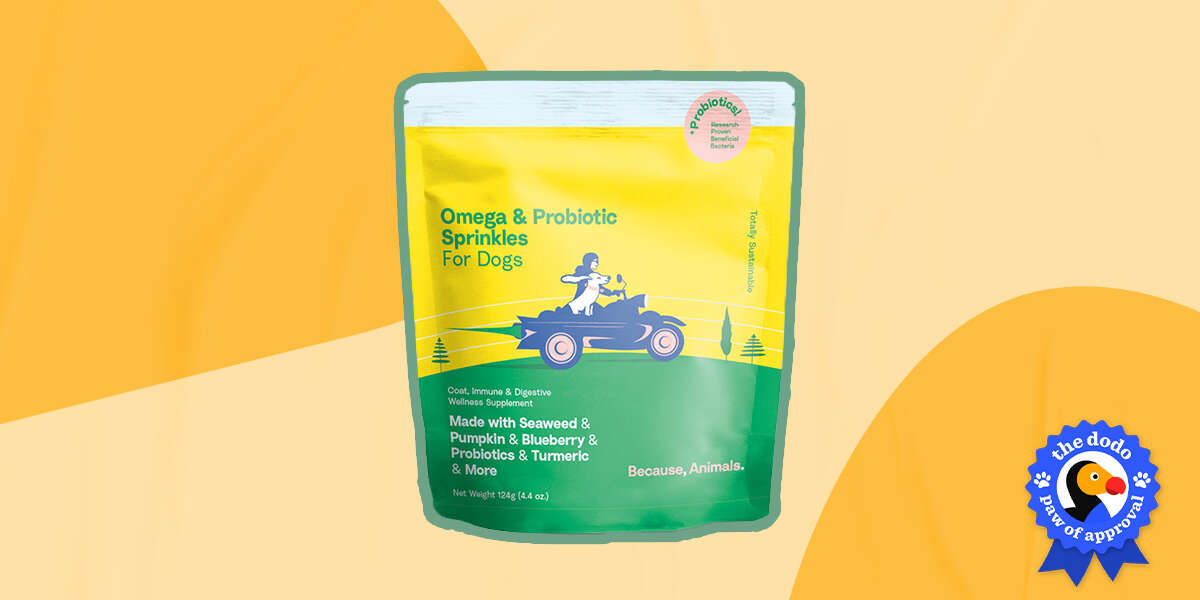 Because, Animals Probiotic Sprinkles: Do They Work? - Paw of Approval ...