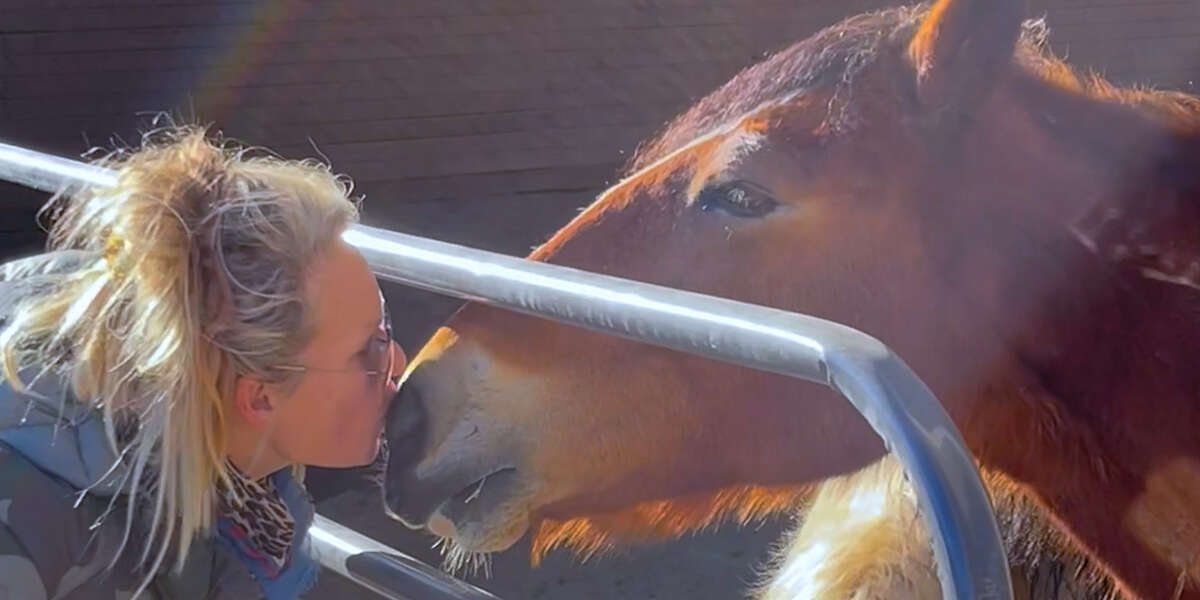 Woman Saves 1 Horse — Then Ends Up Rescuing 200 More Animals - Videos ...
