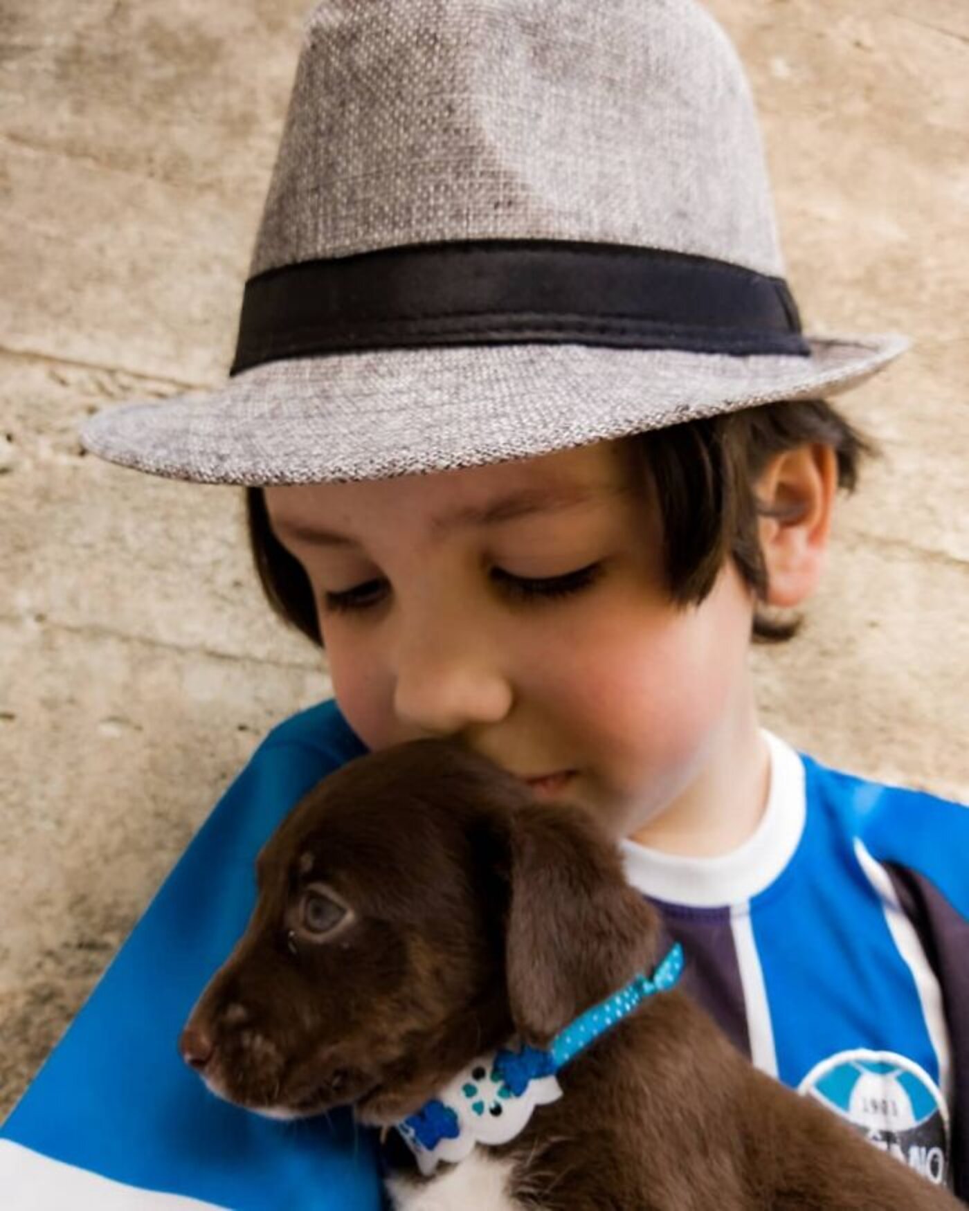 Brazilian Boy Gives Stray Dogs Baths To Help Them Get Adopted - The Dodo