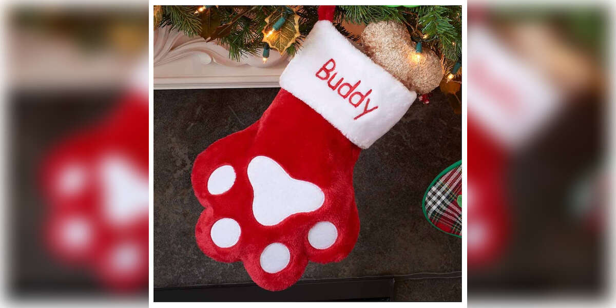 8 Adorable Christmas Stockings For Your Dog - DodoWell - The Dodo