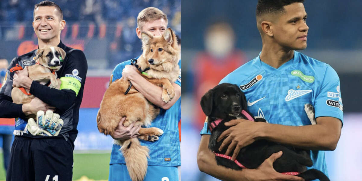 Professional Soccer Players Walk Onto Field Carrying Shelter Dogs - The ...