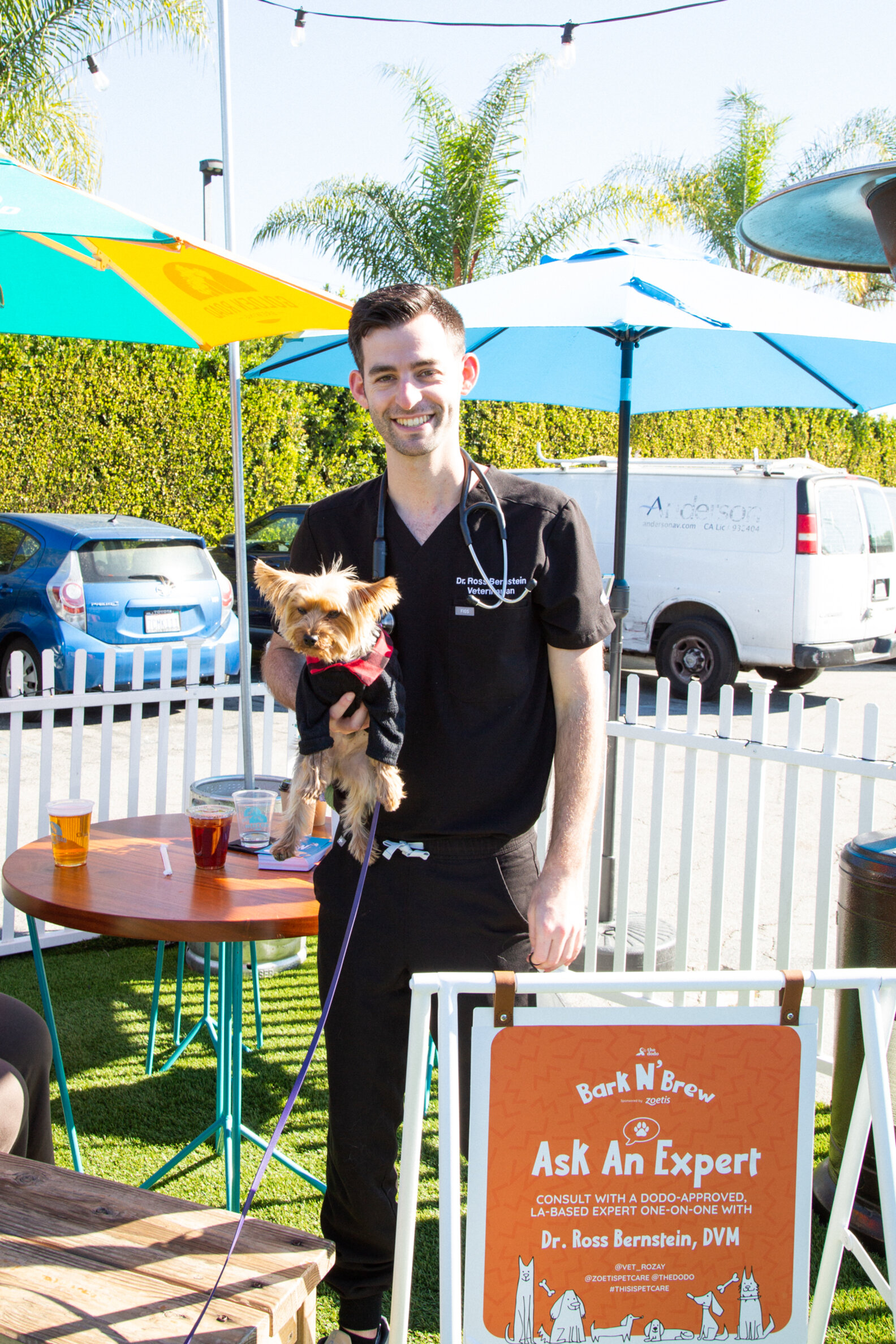 See These Pups Have The Best Time At Bark N’ Brew - The Dodo